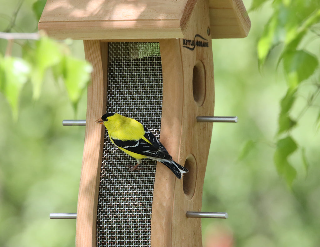 The Original Wave Feeder (Small) – Kettle Moraine Woodworking Inc