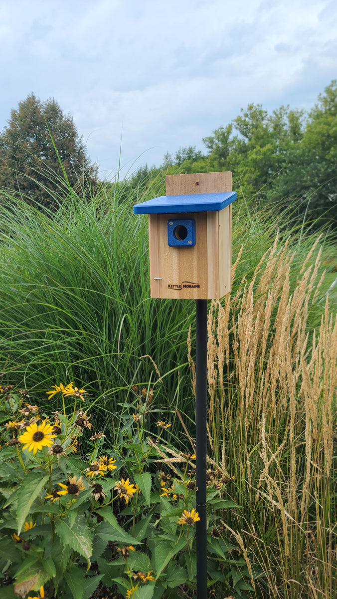 Wren & Chickadee Nest Box with Recycled Roof – Kettle Moraine ...