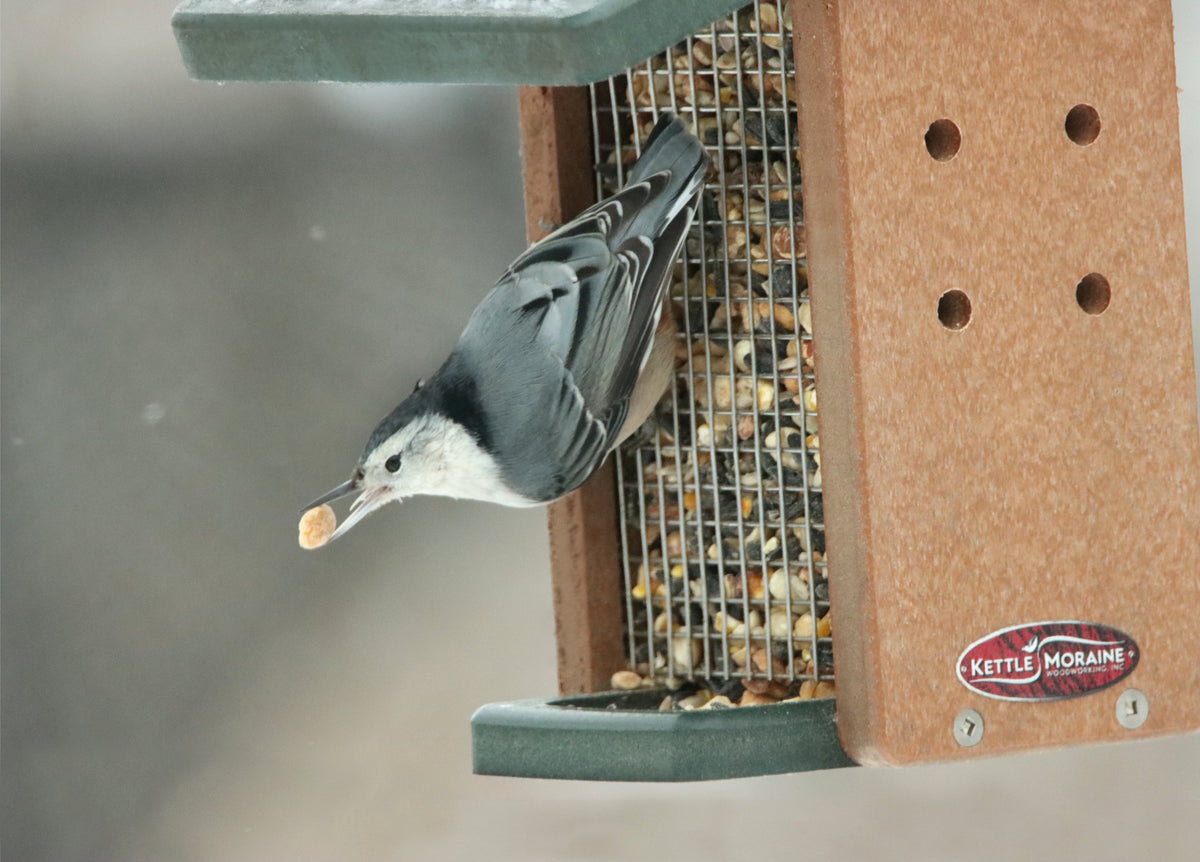 *NEW* Recycled Screen Hopper Feeder (Small) – Kettle Moraine ...