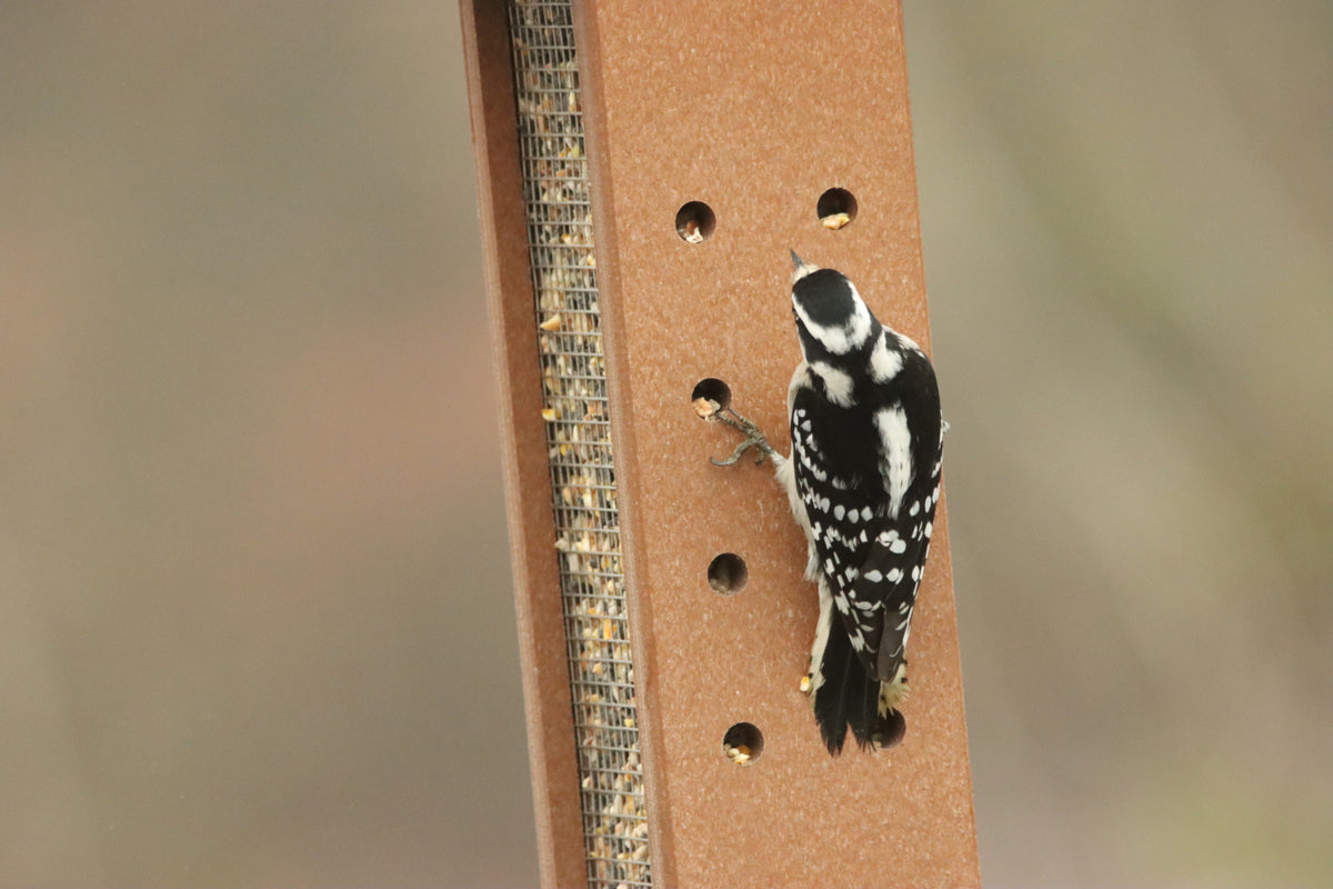 *NEW* Recycled Screen Hopper Feeder (Large) – Kettle Moraine ...